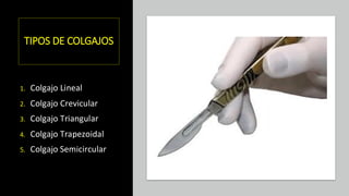 Diseño de colgajos y suturas 2024....... | PDF