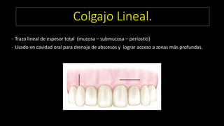 Diseño de colgajos y suturas 2024....... | PDF