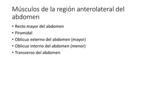 Músculos de la región anterolateral del abdomen | PDF