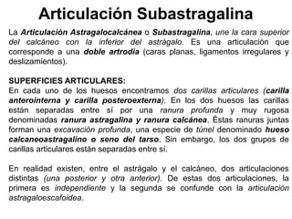 Clase 17 Artrologia MMII 3 de 3 (Pie) 2025.pptx