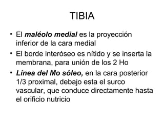 ANATOMIA HUESOS DE PIERNA Y PIE | PPT