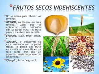 Clase 18 el fruto | PPTX