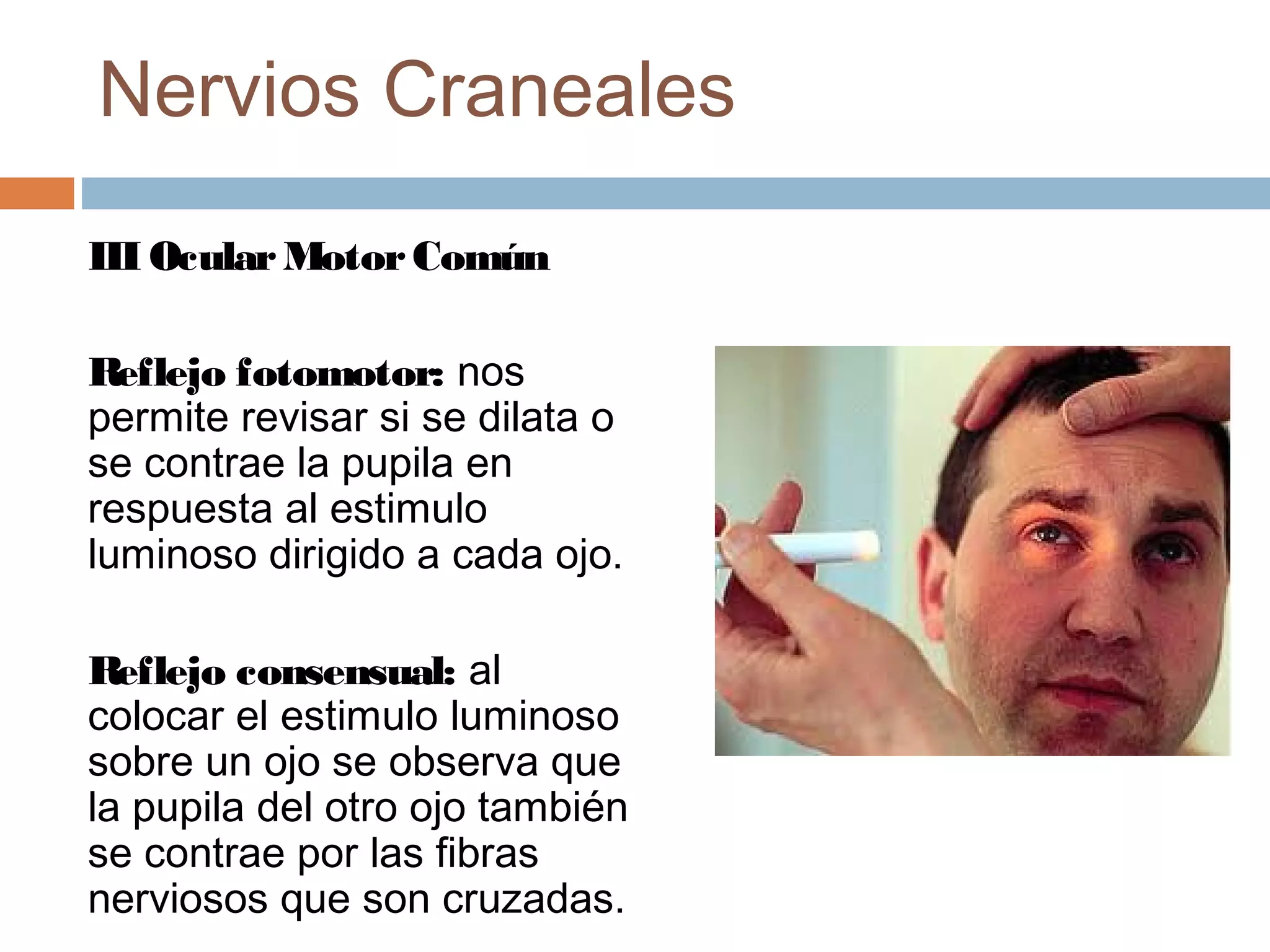 Clase 18 evaluacion pares craneales nervio facial | PPT