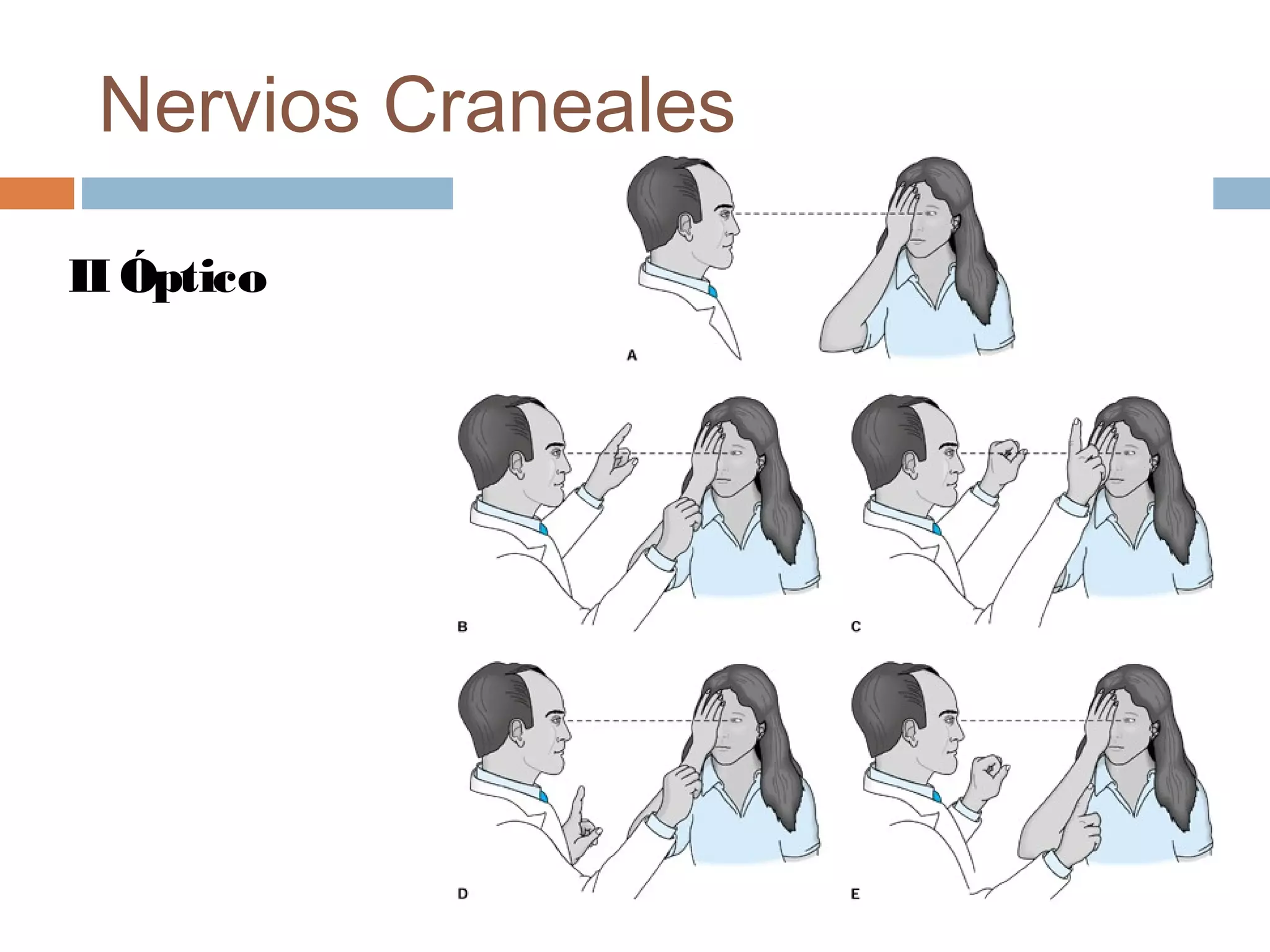 Clase 18 evaluacion pares craneales nervio facial | PPT