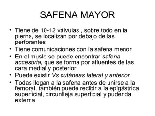 ANATOMIA FASCIAS, VENAS Y NERVIOS CUTANEOS MIEMBRO INFERIOR | PPT