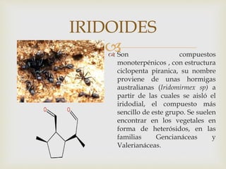 Clase 19 iridoides | PPTX