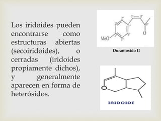 Clase 19 iridoides | PPTX