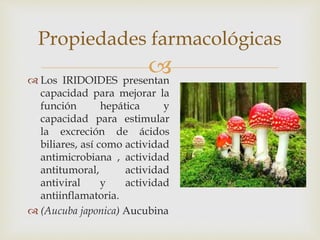 Clase 19 iridoides | PPTX