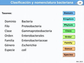 CLASE 1 Bacteriologia para estudiantes de medicina | PPTX