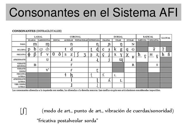 Clase 1b la fonetica y el sistema afi