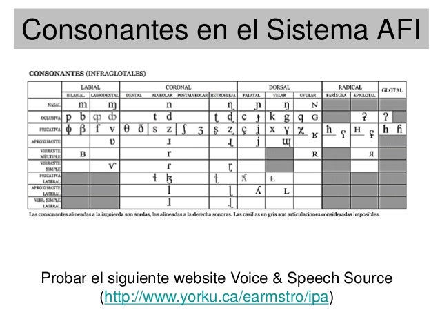 Clase 1b la fonetica y el sistema afi
