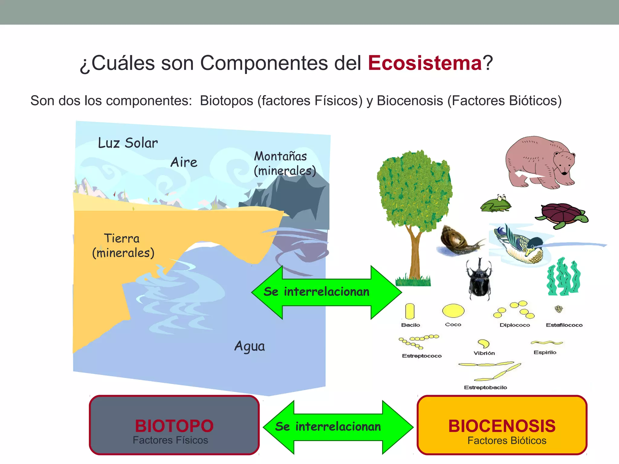 Clase 1 ecología, ecosistema y biomas (1) | PPT