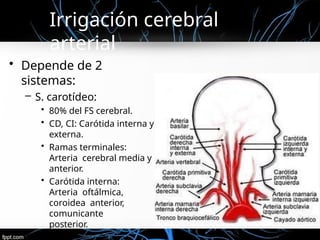 CLASE 1 ENFERMEDAD CEREBRO VASCULAR.neurologia | PPTX