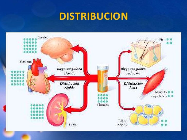 Clase 1 farmacologia