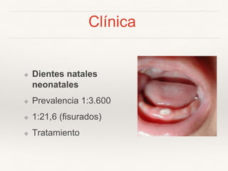 Clase 1 anatomia dientes temporales y permanentes ( tec.odont) | PPTX