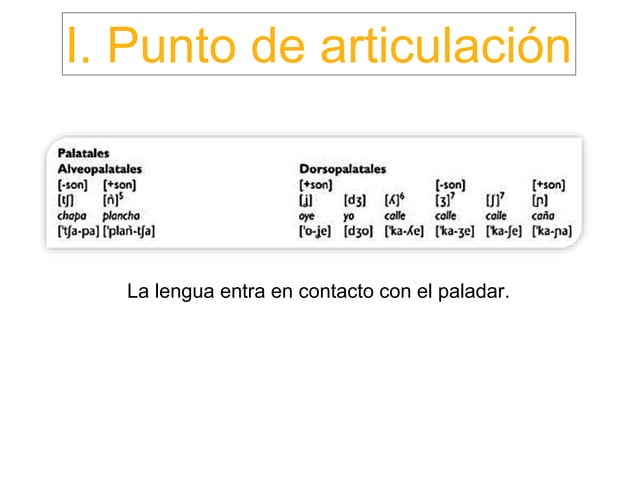 Clase 1 la fonetica y el inventario fonetico del español | PPTX | Ear ...