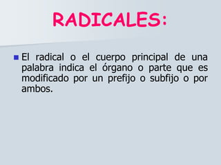 CLASE 1 TERMINOLOGIA.ppt