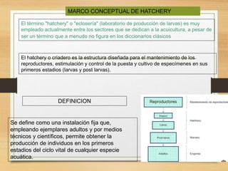 Hatchery en Acuicultura | PPT