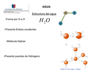 Biomoleculas y Bioelementos | PPT
