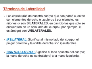Clase2: Introducción a la anatomomofisiología aplicada | PDF