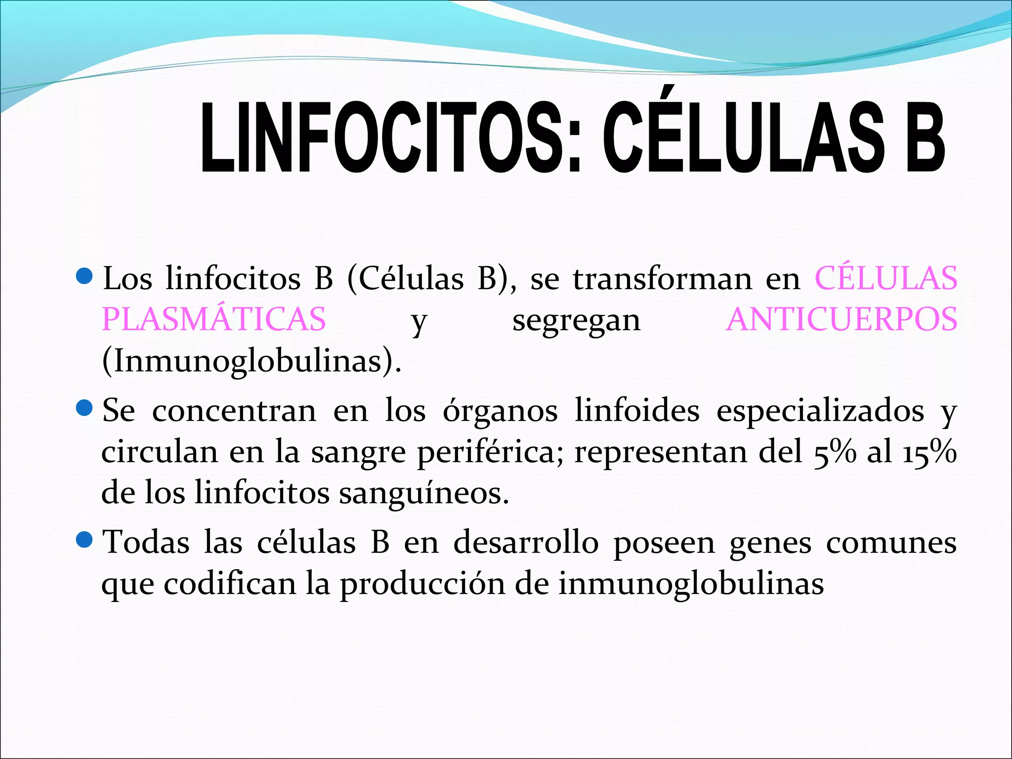 CLASE #"2-ORGANOS LINFOIDES (INMUNOLOGIA) | PPT