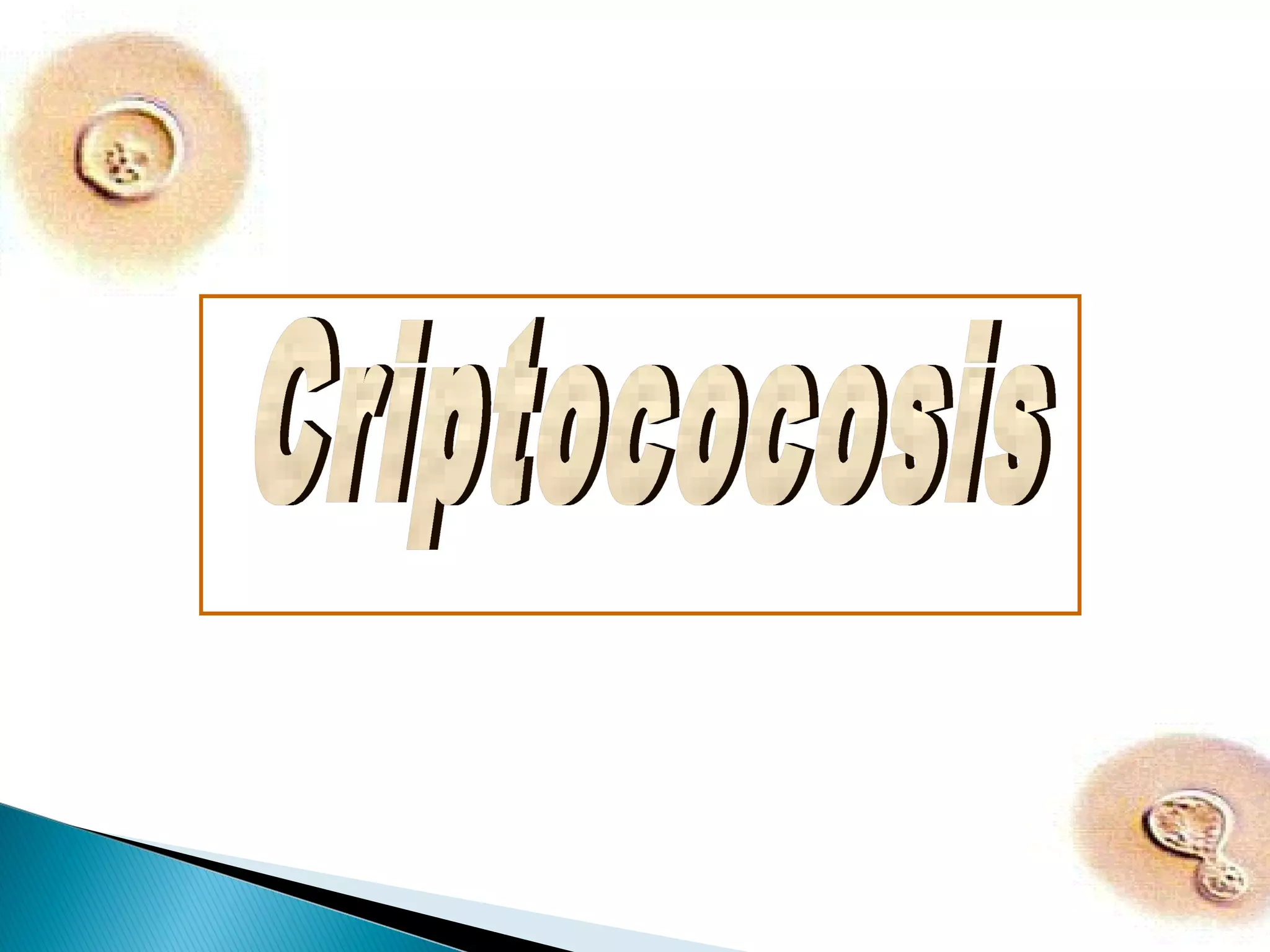 Criptococosis: Micosis causada por Cryptococcus | PPT