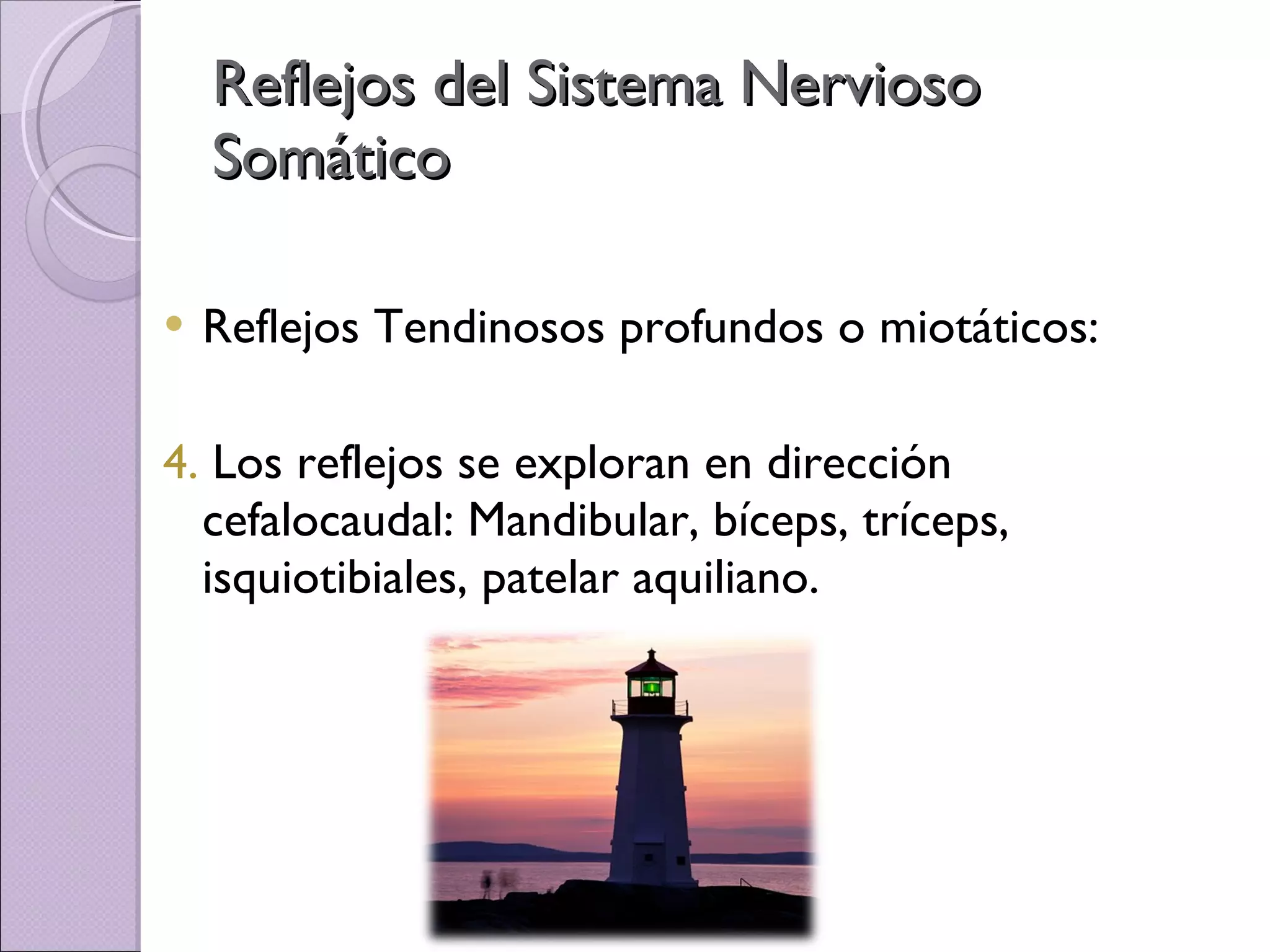 Clase 21 evaluacion reflejos superficiales y profundos | PPT