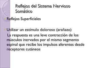 Clase 21 evaluacion reflejos superficiales y profundos | PPT