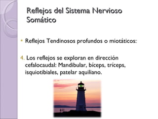 Clase 21 evaluacion reflejos superficiales y profundos | PPT