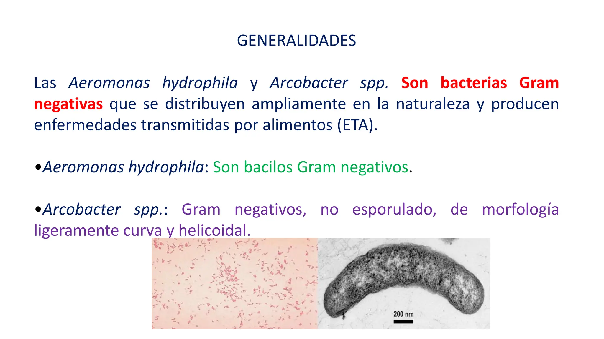 AEROMONAS HYDROPHILA Y ARCOBACTER SPP.pdf
