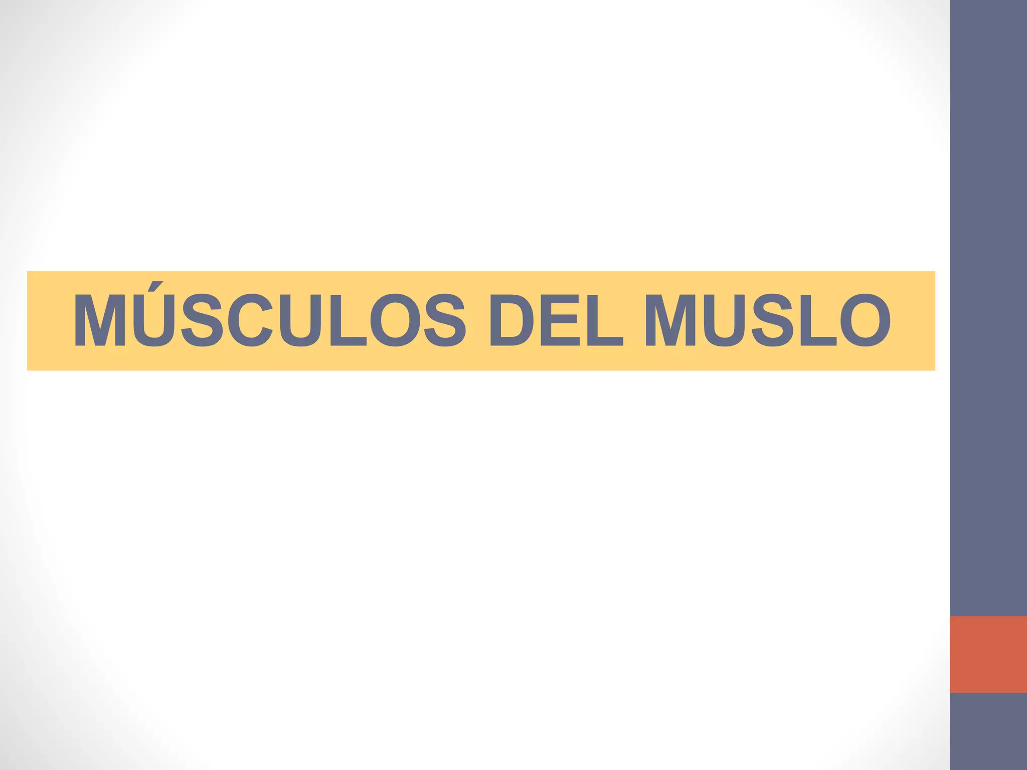Clase 24 miologia de mmii (Parte1) 2023.pptx