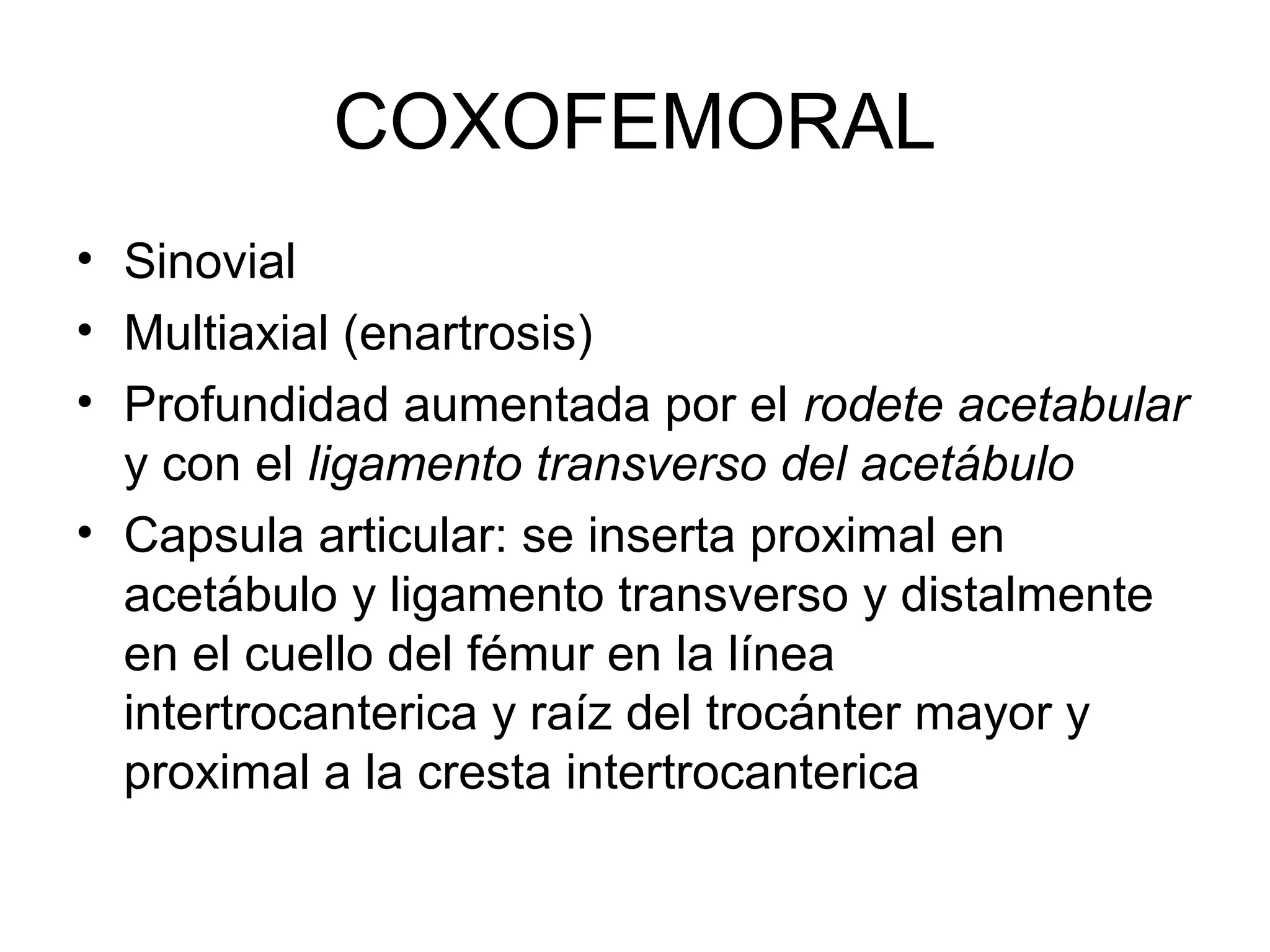 ANATOMIA ARTICULACIONES DEL MIEMBRO INFERIOR | PPT