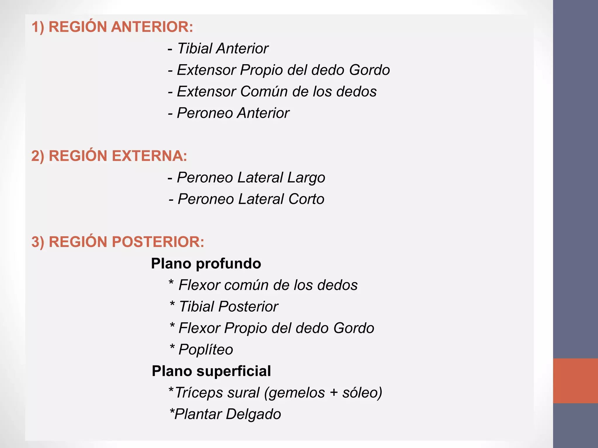 Clase 25 miologia de mmii (Parte 2) 2023.pptx