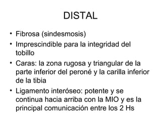 ARTICULACION TIBIOPERONEA | PPT