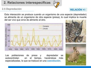 Clase 28 relaciones_intraspecificas_e_in | PPT