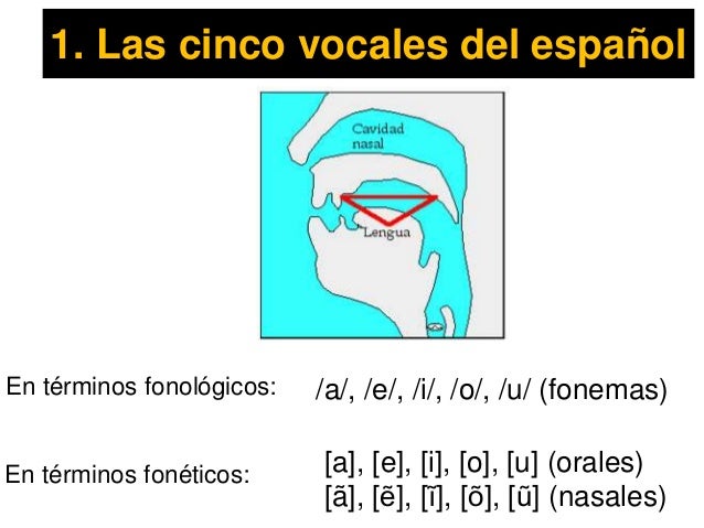 Clase 2a las vocales del español