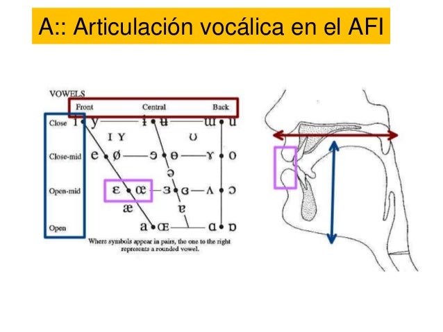 Clase 2a Las Vocales Del Español