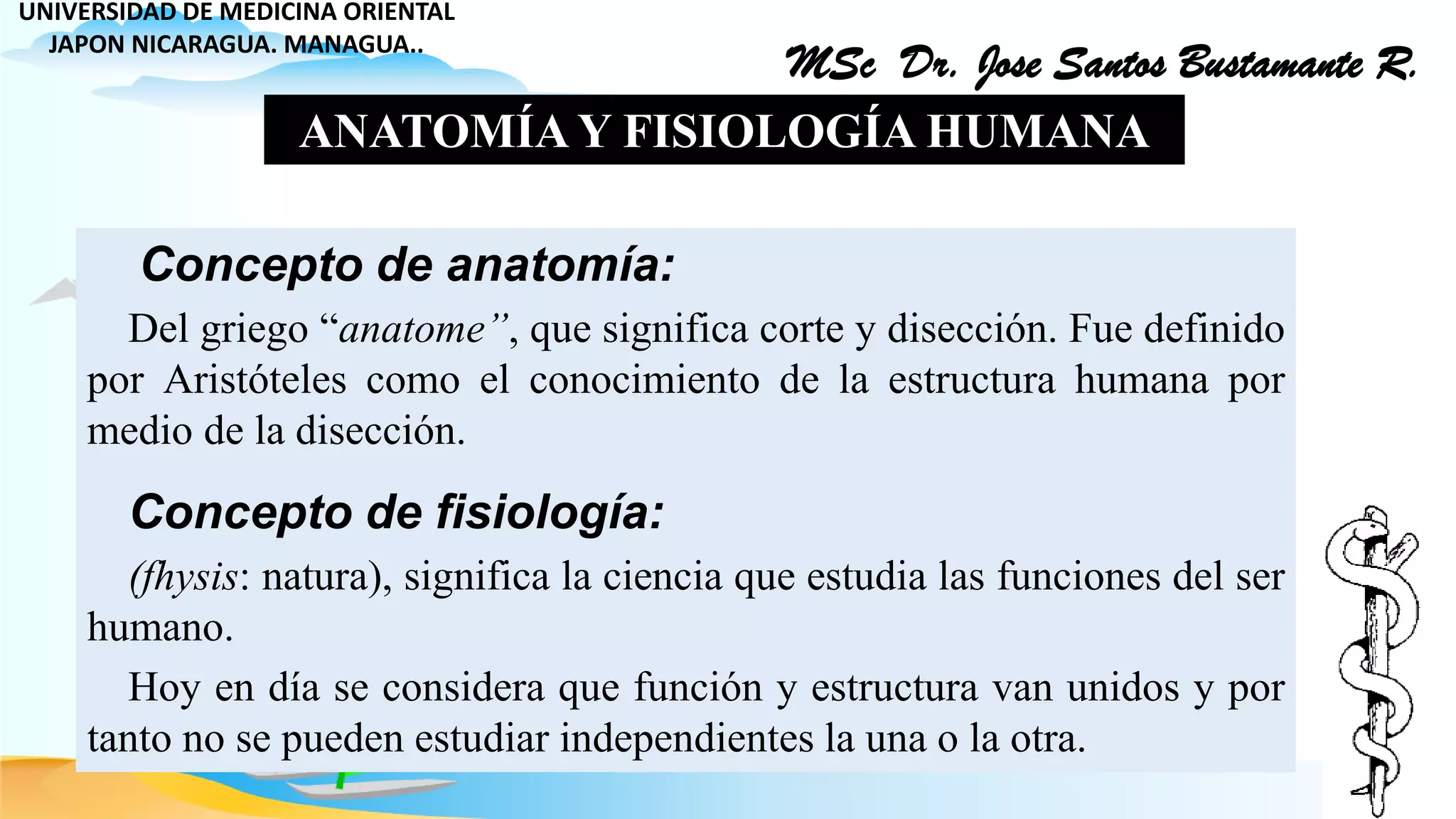 anatomia humana | PPT