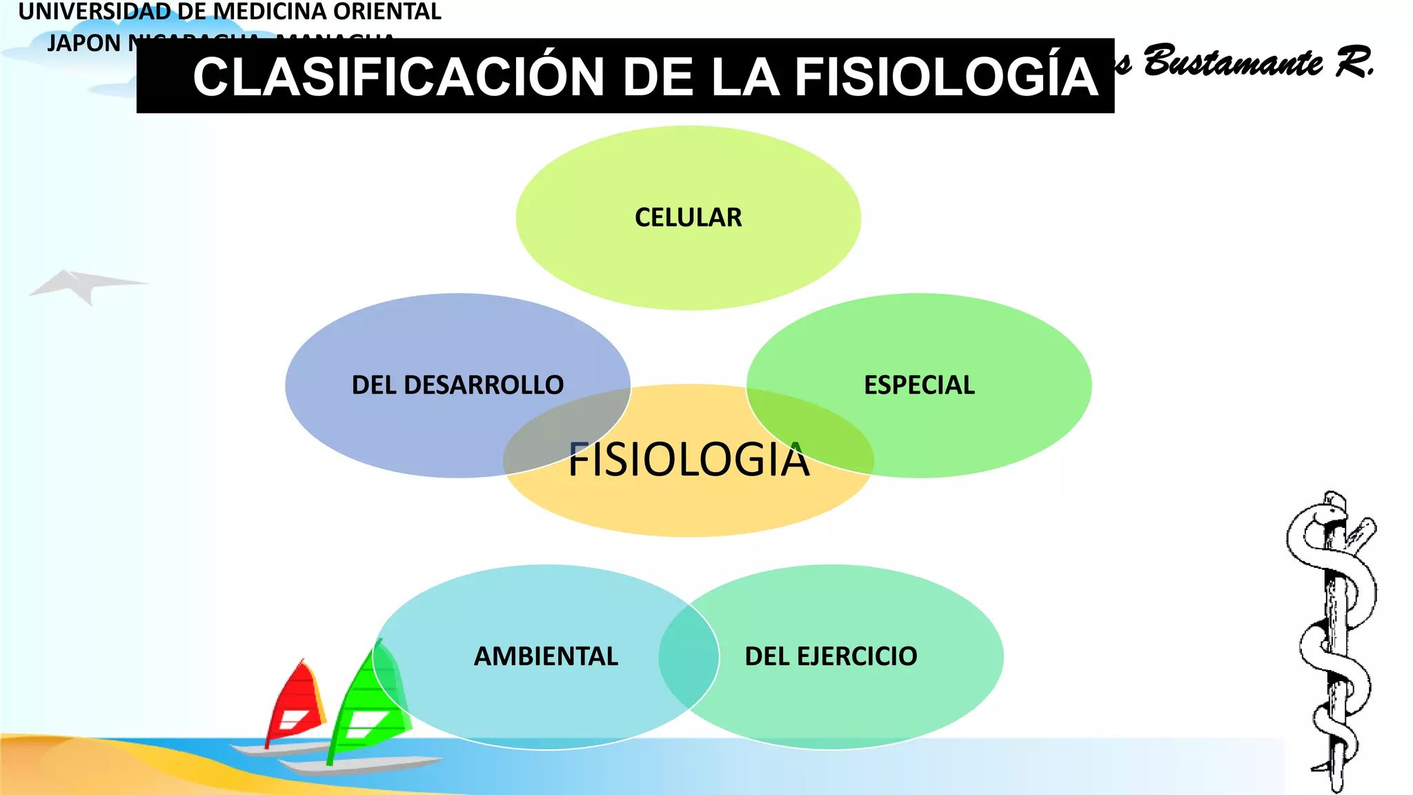 anatomia humana | PPT