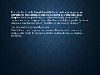 CLASE 2 BIOLOGIA CELULAR Y MOLECULAR.ppt