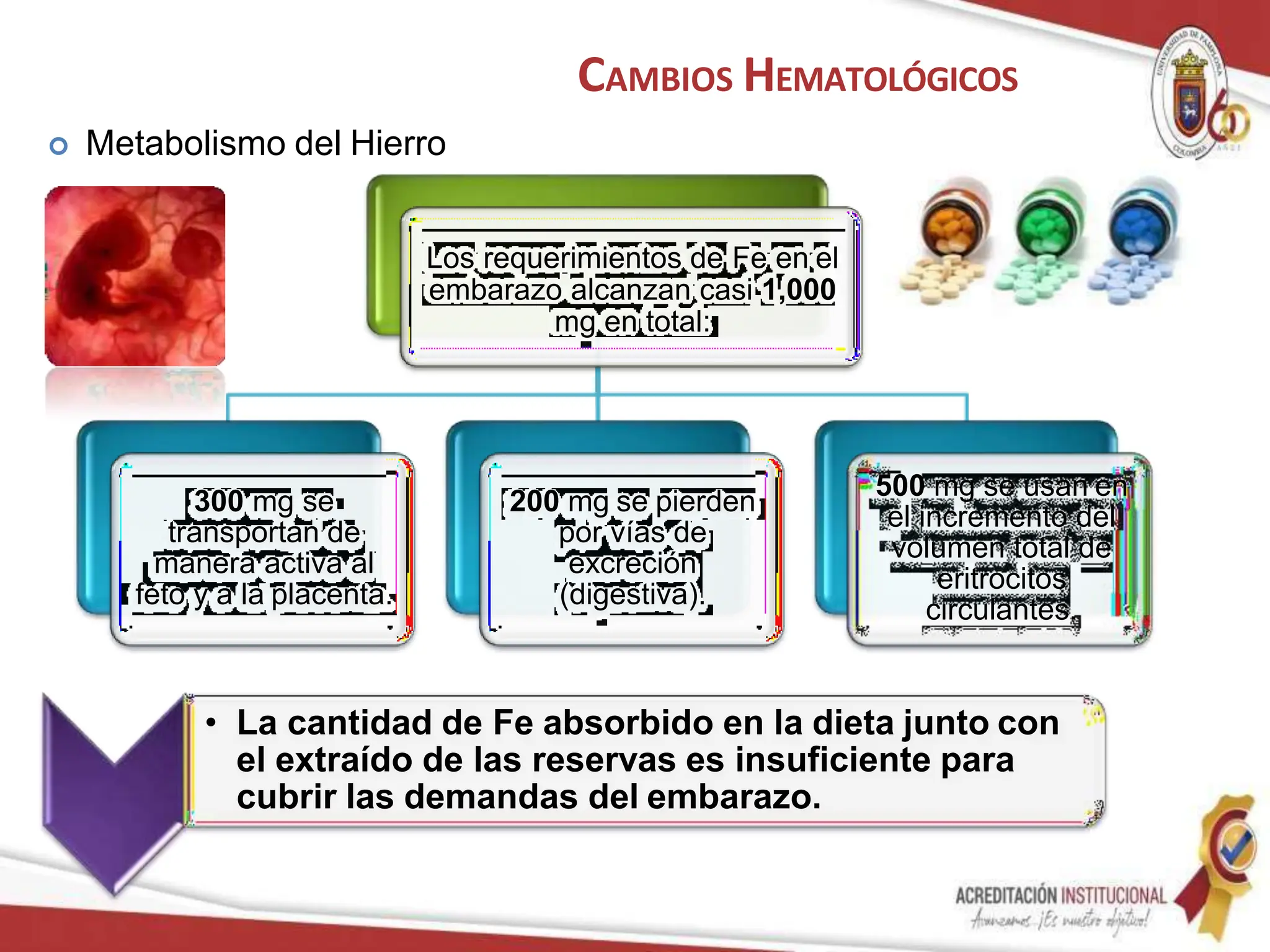 cambios fisiologicos embarazo , cambios anatomicos | PPTX | Pregnancy ...