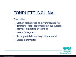 clase 2 cirugia hernias y eventraciones (1).ppt