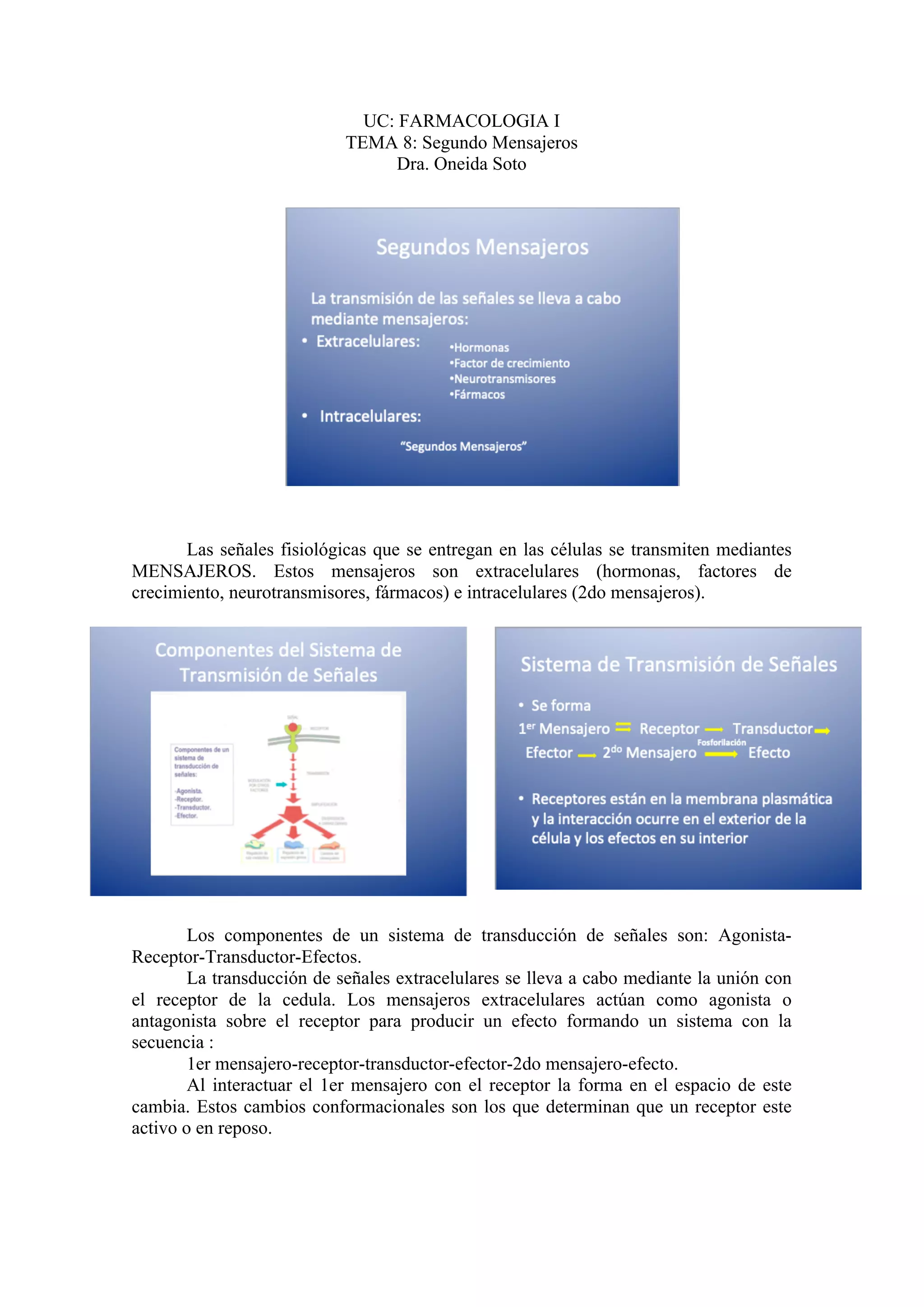 Segundo mensajero | PDF