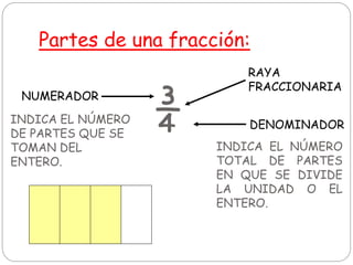 Clase dos: Partes de las fracciones. Caracteristicas del numerados y ...