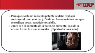 Clase 2 fuerza, resistencia, potencia, ... | PDF