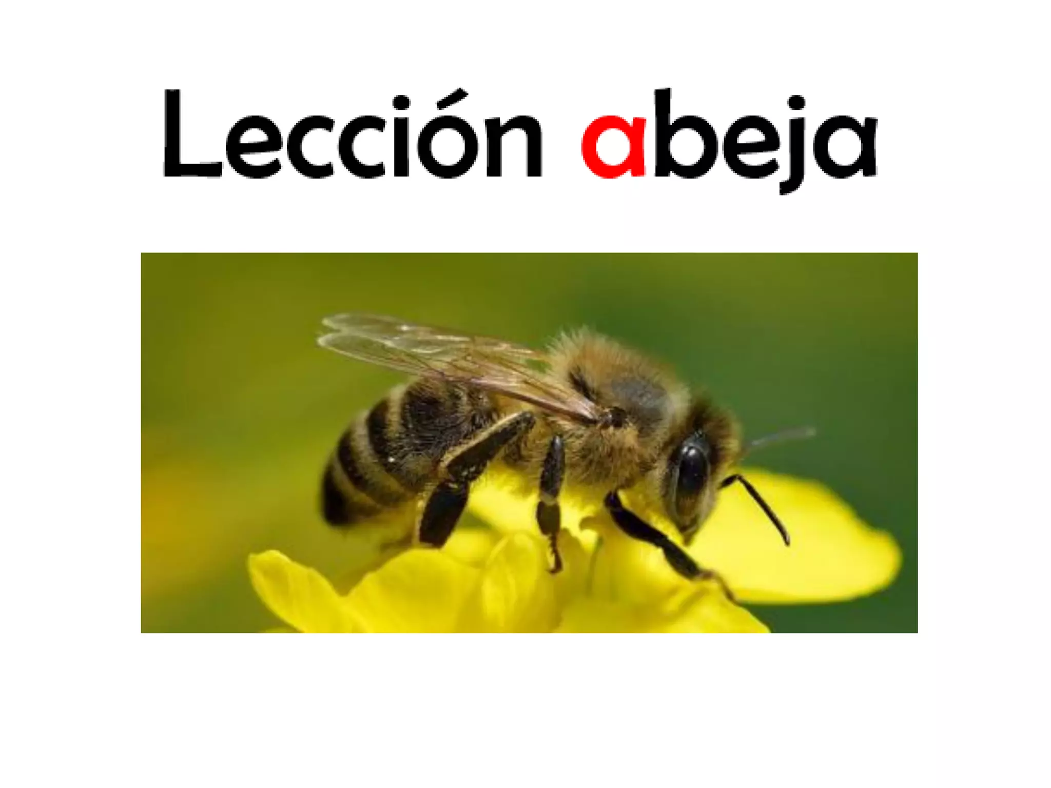 Clase 2 Identificar y escribir vocal A - Lección abeja.pdf