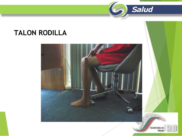 Mediciones antropometicas