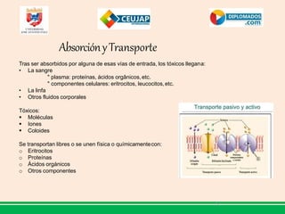 CLASE 2 RIESGOS QUIMICOS AULA.pptx