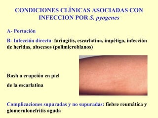 Bacteriologia - Clase 2 y 3 | PPT