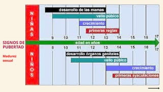 Psicología del desarrollo humano Adolescencia - D Papalia | PPTX